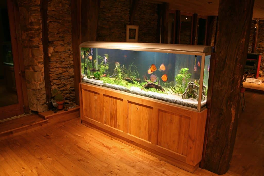 Best Aquarium Stand (Reviews and Buyer's Guide) - Aquarium Friend